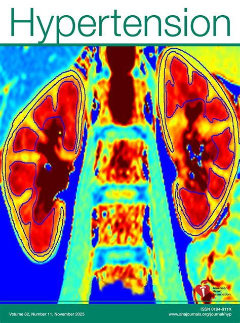 When Microbes Meet Androgens A Sex Specific Path To Hypertension