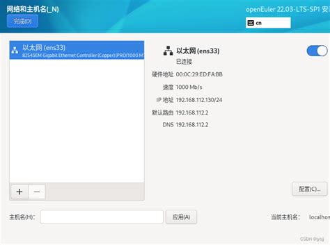 vmware虚拟机安装openeuler服务器opengauss数据库，主机连接 vmware opengauss csdn博客