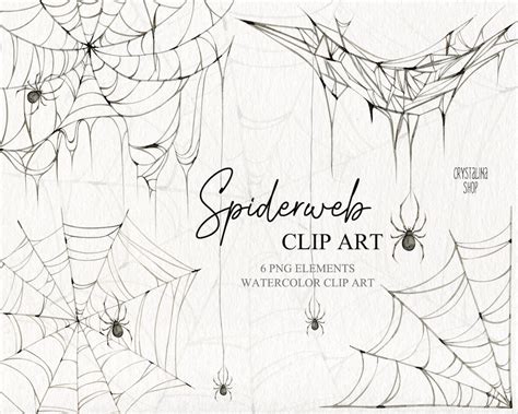 Realistic Spider Web Drawings