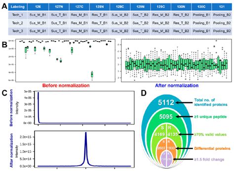 Data Normalization And Protein Identification A Table Showing The Download Scientific