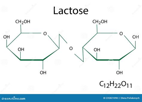 Lactose Molecular Structure Isolated On White Royalty Free Illustration