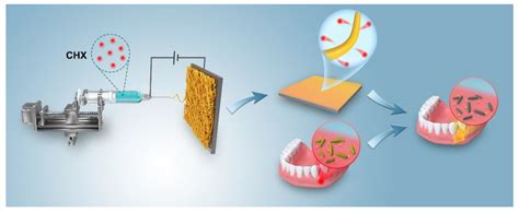 Polycaprolactone Electrospun Nanofiber Membrane With Sustained