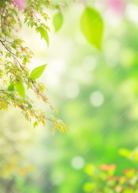 Premium Ai Image Blur Nature For Background