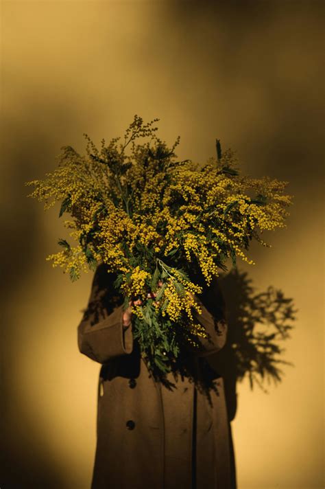 Convocation Background Photos Download The Best Free Convocation