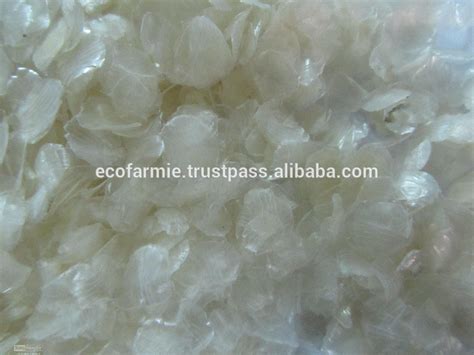 Dried Fish Scale For Producing Making Collagenvietnam Price Supplier