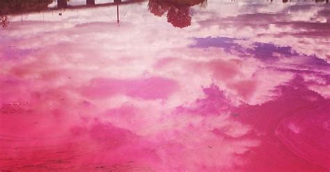 Sizzurp Lake Melbourne Australia Imgur