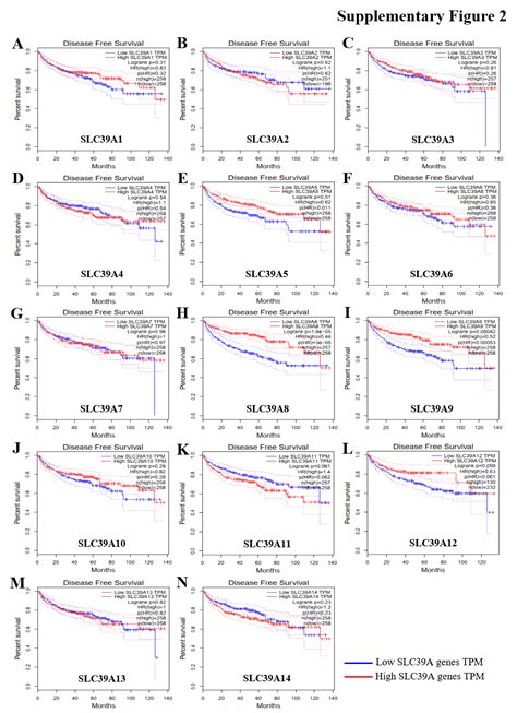 Slc39a8zinc Suppresses The Progression Of Clear Cell Renal Cell
