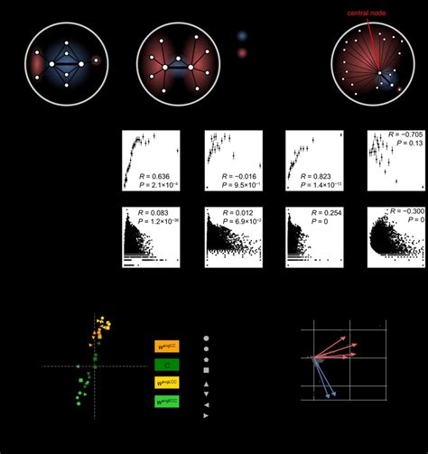 The Relationship Between Gene Essentiality And Centrality And
