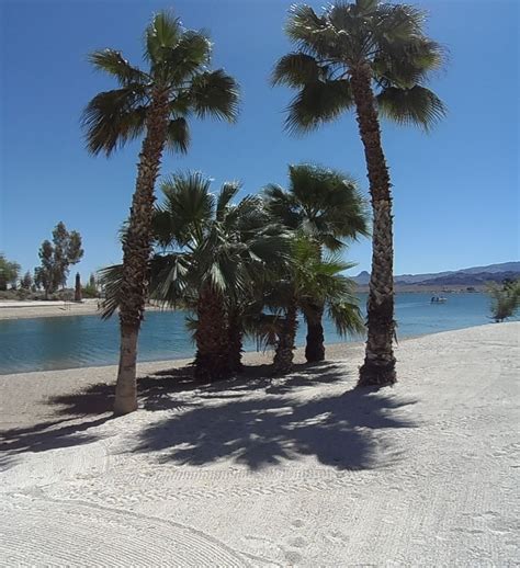 Beautiful Beach In Lake Havasu City Arizona Lake Havasu City Lake