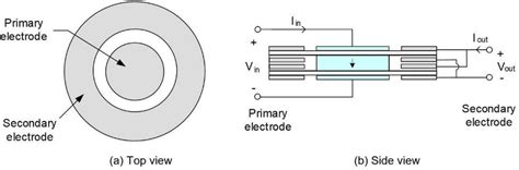 Structure Of The Radial Vibration Mode Disk Piezoelectric Transformer Download Scientific Diagram