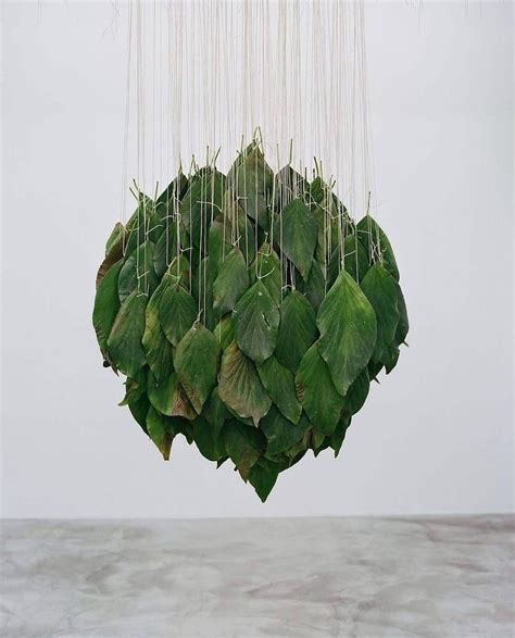 Instagram Plant Art Land Art Plant Installation