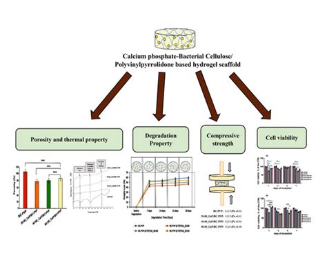 Polymers Special Issue Polymers For Bone Tissue Engineering