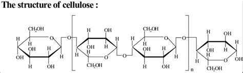Cellulose Structure