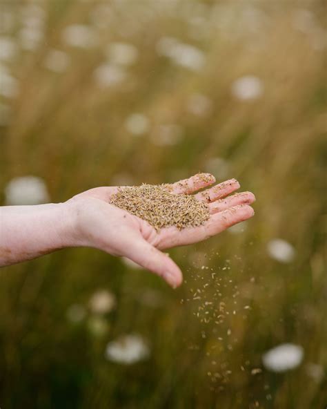 About Us Tithe Green Natural Burial