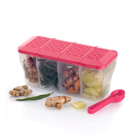 Aa Trading Company 4 Section Conainer For Vegetablesdryfruitsspices