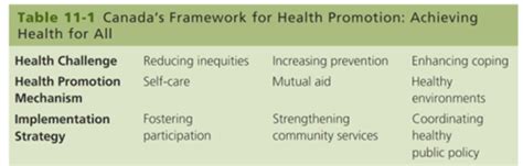 Chapter 11 Health Promotion Flashcards Quizlet