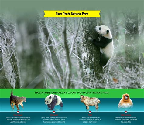 National Park Provides Umbrella Protection