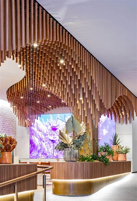 Hunter House Cafe Sculptform Cafe Interior Design Ceiling Design