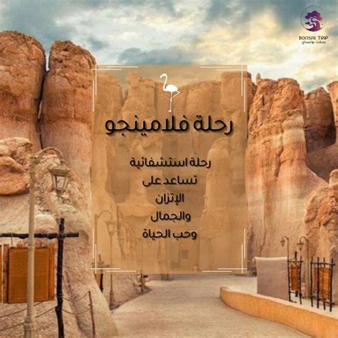 رحلة فلامنجو Bonsai Trip