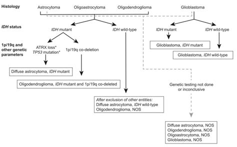 Fig 5171 A Simplified Algorithm For Classification World