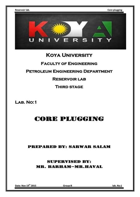 Core Plugging Pdf
