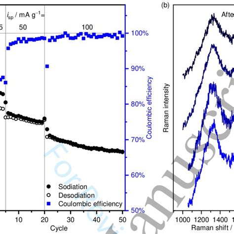 Rinaldo Raccichini Doctor Of Philosophy Phd Research Profile