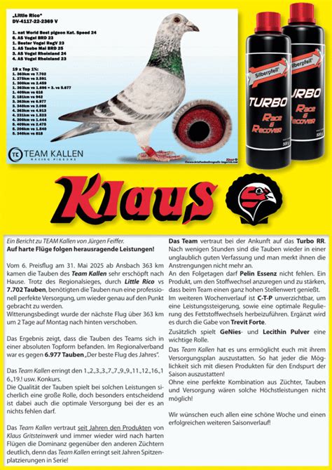 Aktuelle Angebote Brieftauben Marktde
