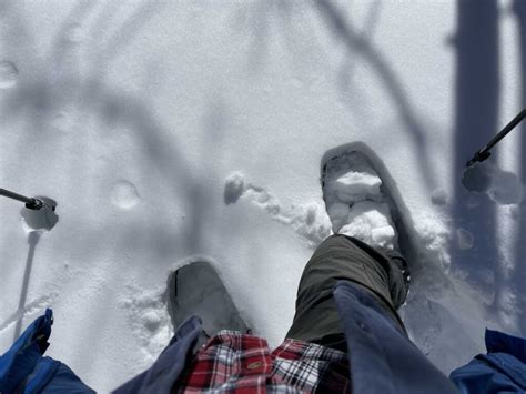 Boreas Pass Trail Henrys Take