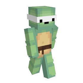 Turtle Minecraft Skins Namemc