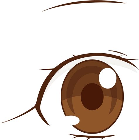 Brown Eye Clipart How To Draw An Eye In Colored Pencil With Pictures