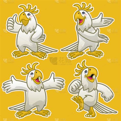 集有趣的鹦鹉鹦鹉鸟卡通素材 花瓣网