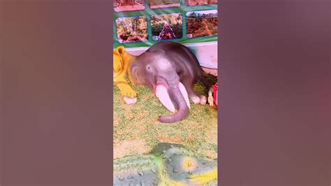 Rayagada Chaiti Youtube