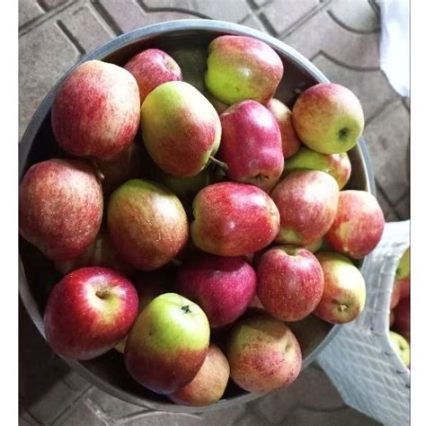 Jual Apel Ana Mini 1kg Batu Malang Shopee Indonesia
