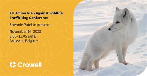 Dan Wolff On Linkedin Eu Action Plan Against Wildlife Trafficking