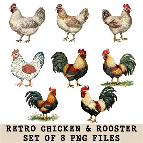 Retro Chickens And Roosters Png Bundle Printable Chicken Clipart Set