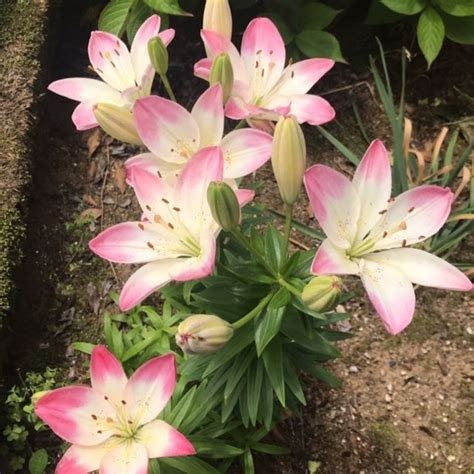 K.Kikuchi (@8128.kazu) on Threads