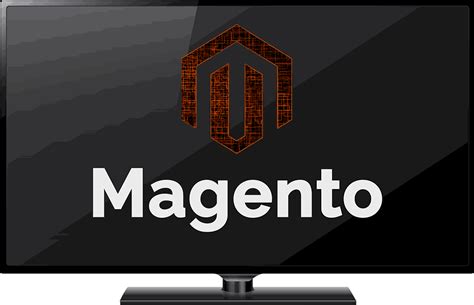 Magento Development Company No 1 Magento Developer From Surat