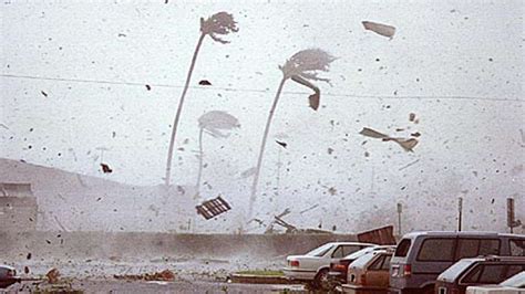 Hurricane Iwa 1982 Encyclopedia Of Surfing