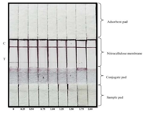 Detection Of Soymilk In Whole Milk Spiked With Soymilk At Various