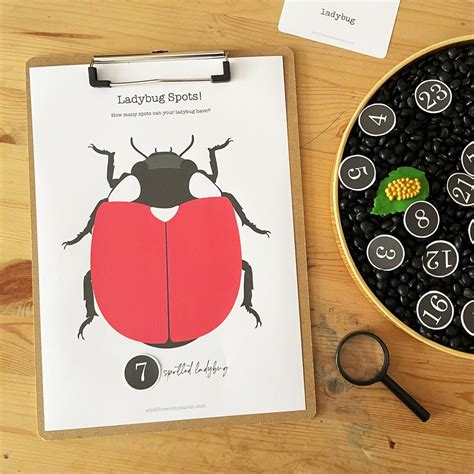 Blank Ladybug Template