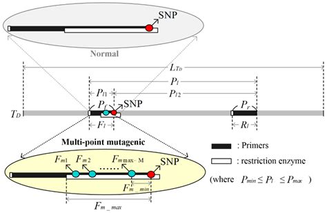 Machine Learning Combined With Restriction Enzyme Mining Assists In The