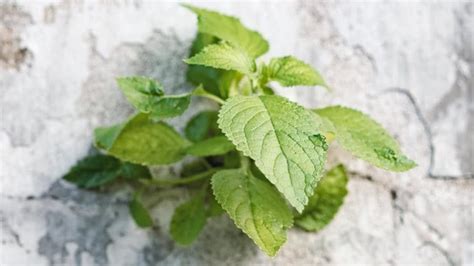 The Circular Cement Value Chain Decarbonizing Cement Mckinsey