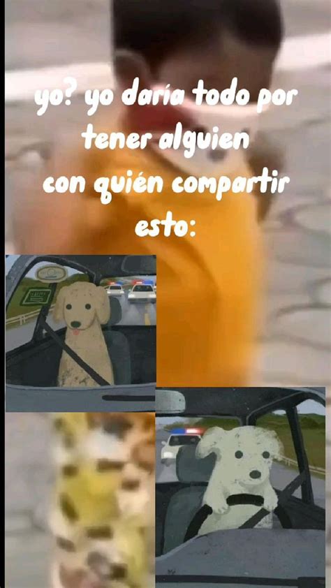 Neta Que Si Videos Divertidos Bromas Para Reir Imágenes Graciosas Neta Que Si Videos Divertidos Bromas Para Reir Imágenes Graciosas