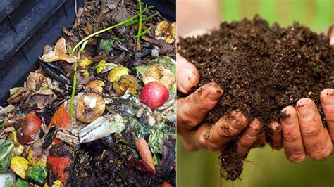 Discover Why Composting Is Important