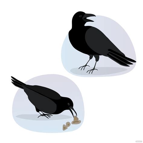 Crow Vector In Illustrator Svg  Eps Png Download