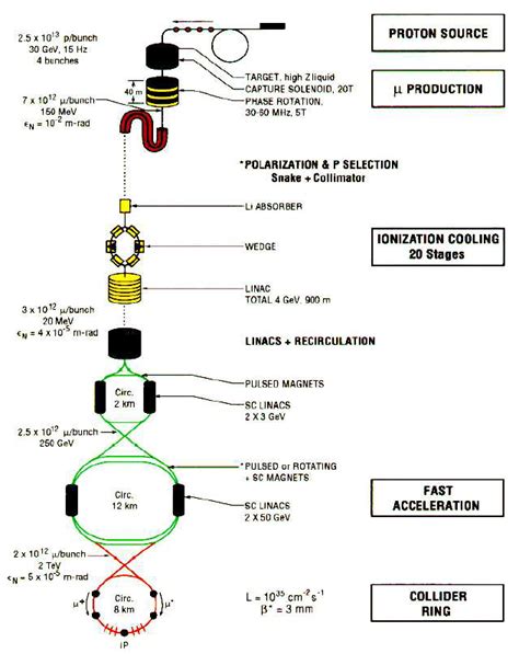 Muon Collider Schematic Download Scientific Diagram