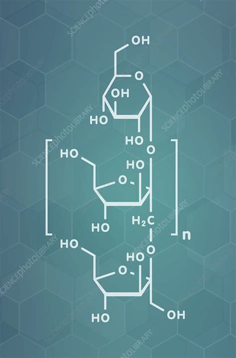 Inulin Structure Inulin High Grade Prebiotic Fibre Powder 1 Kg