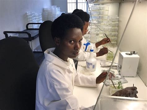 Plant And Microbial Biotechnology