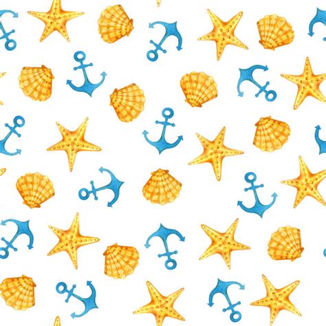 Best Echinoderms Illustrations Royalty Free Vector Graphics And Clip Art