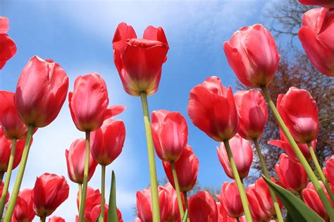 45 Million Stunning Free Images To Use Anywhere Pixabay Pixabay